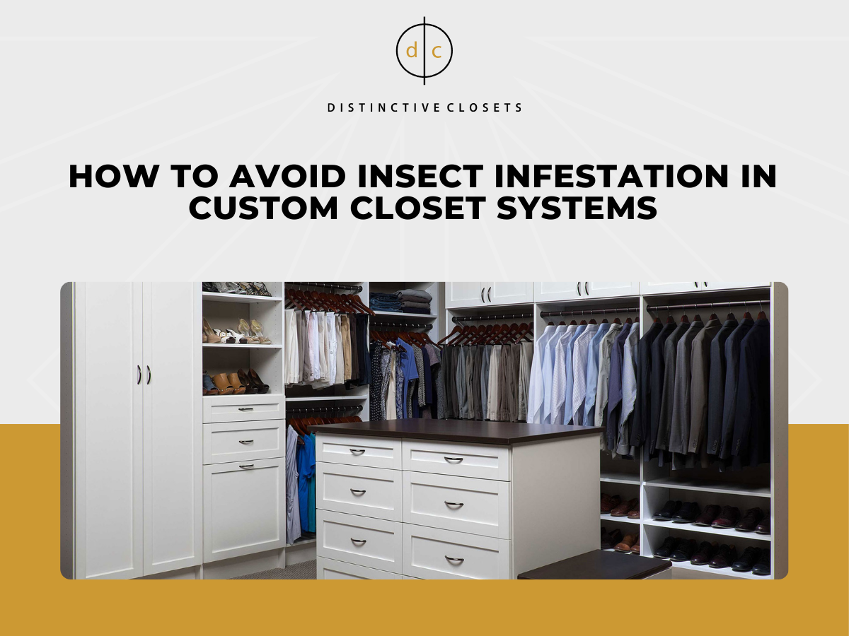 How to Keep Your Custom Closet Systems Pest-Free - NORTHEAST - NEWS ...