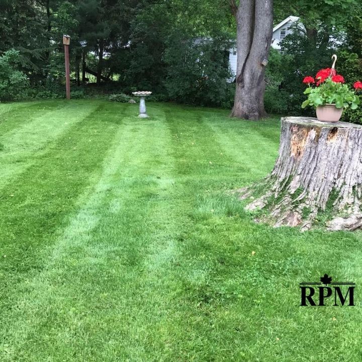 Selecting the Ideal Lawn Mower: A Guide to Matching Your Yard Size and ...