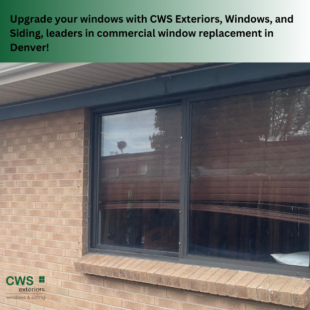 CWS Exteriors, Windows, and Siding Introduces Innovative Solutions for ...