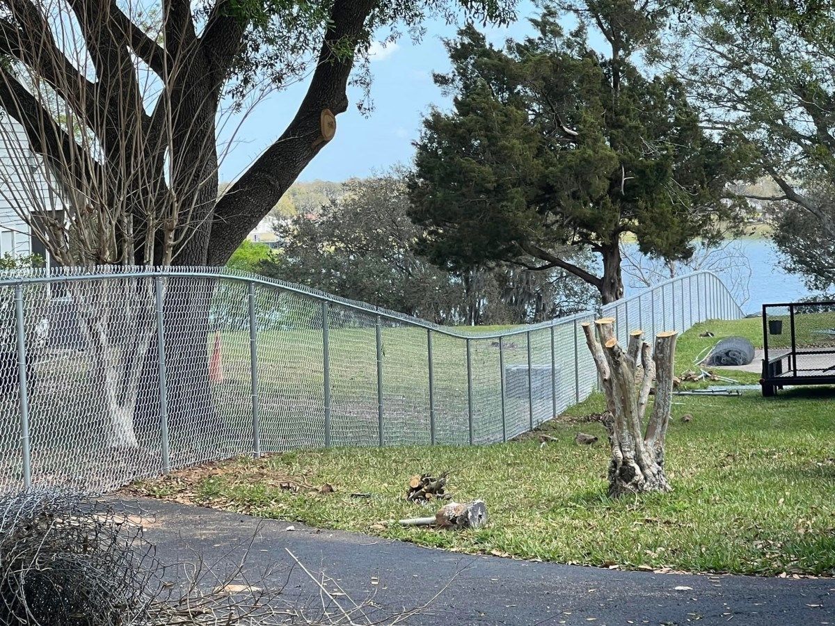 Is Chain Link Fencing Right for Your Home? Pros and Cons Explained ...