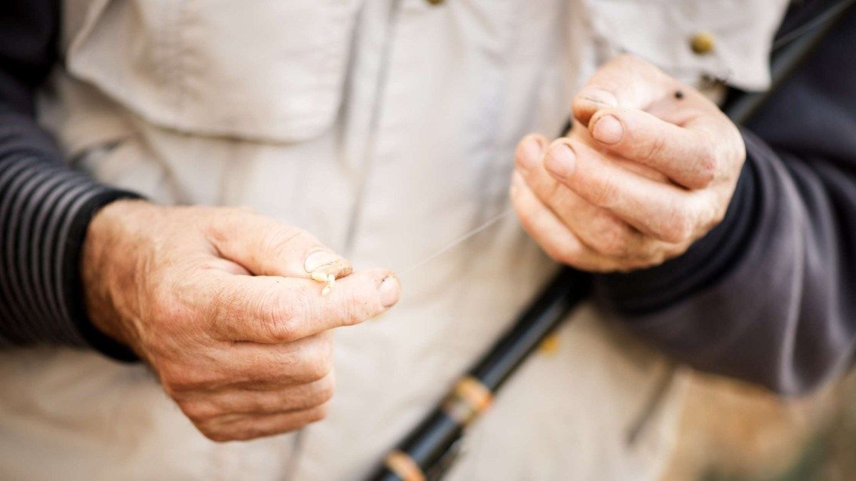 Fishing Worms 101: All the Basics You Need to Know To Get Started ...