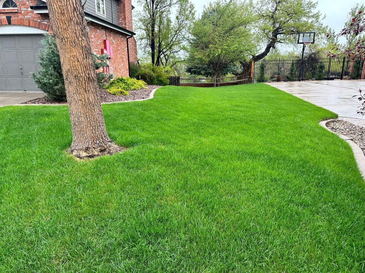 Essential Guide: How to Clean Artificial Turf and Keep Your Lawn ...