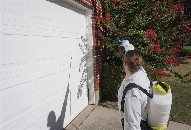 Critter Stop Expands Humane Pest & Wildlife Control Services in Allen ...